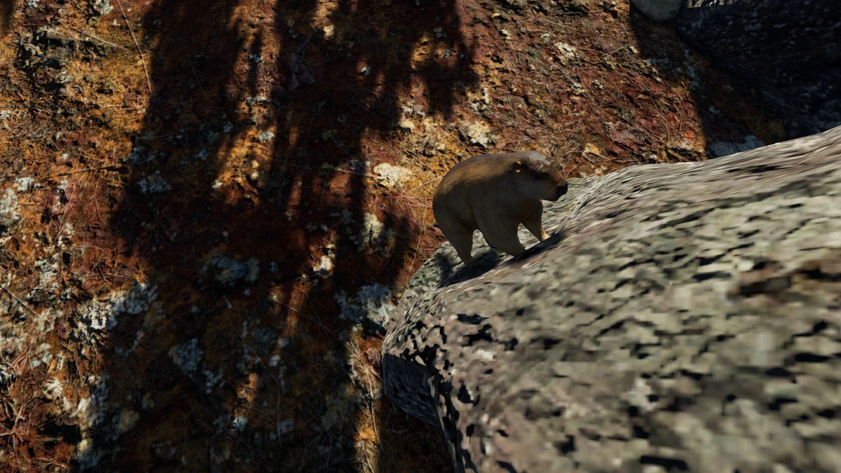 Marmot | Soulmask Wiki | Fandom