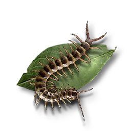 Poisonous Bug | Soulmask Wiki | Fandom