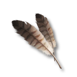 Premium Feather | Soulmask Wiki | Fandom
