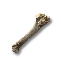 Beast Bone | Soulmask Wiki | Fandom