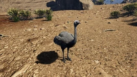 Ostrich | Soulmask Wiki | Fandom