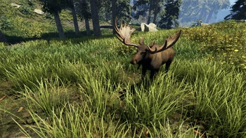 Moose | Soulmask Wiki | Fandom