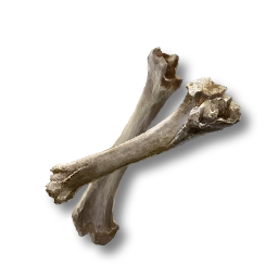 Premium Beast Bone | Soulmask Wiki | Fandom