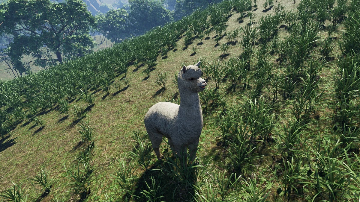 Alpaca | Soulmask Wiki | Fandom