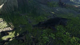 Giant Alligator | Soulmask Wiki | Fandom
