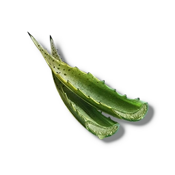 Aloe Leaf | Soulmask Wiki | Fandom