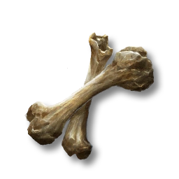 Rare Beast Bone | Soulmask Wiki | Fandom