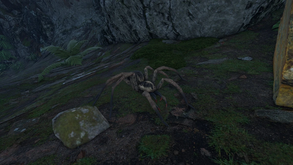 Spider | Soulmask Wiki | Fandom