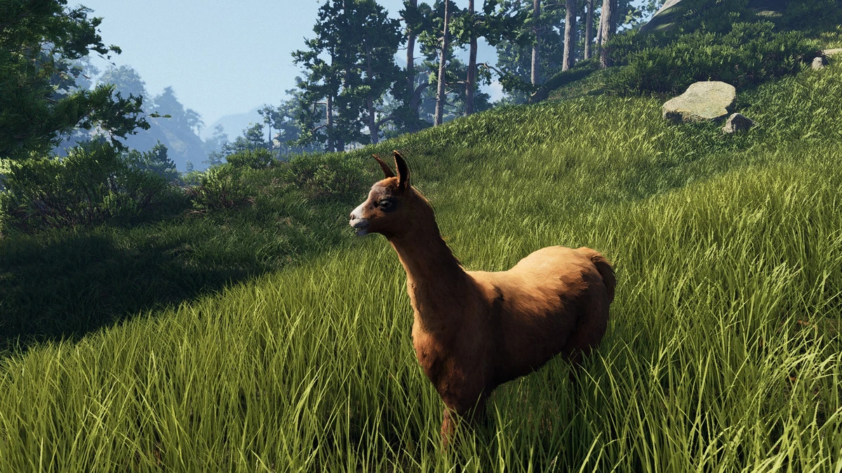 Llama | Soulmask Wiki | Fandom