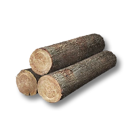 Log | Soulmask Wiki | Fandom