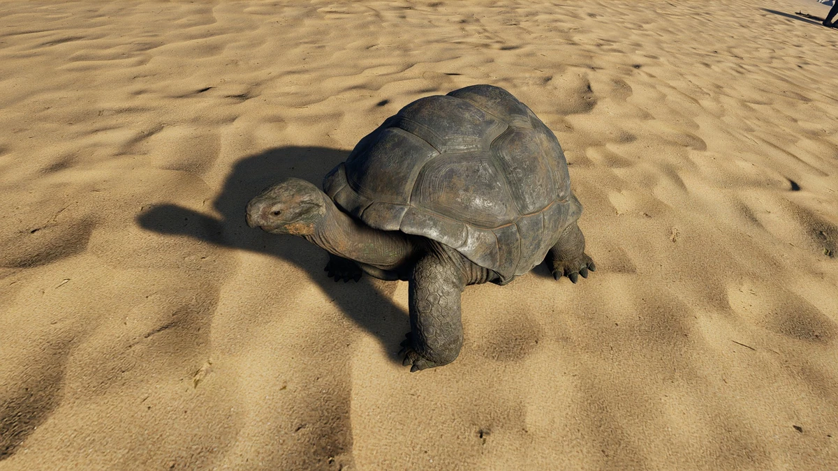 Elite Tortoise | Soulmask Wiki | Fandom