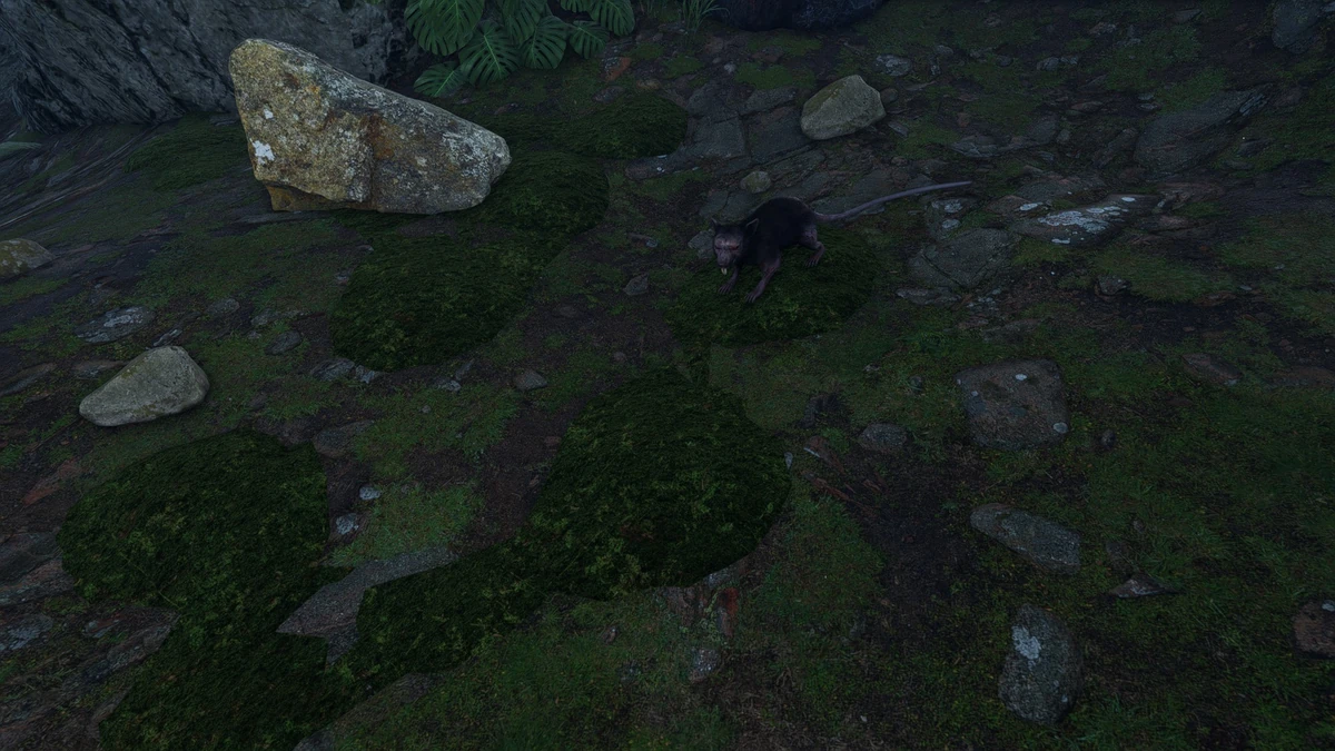 Mutant Rat | Soulmask Wiki | Fandom