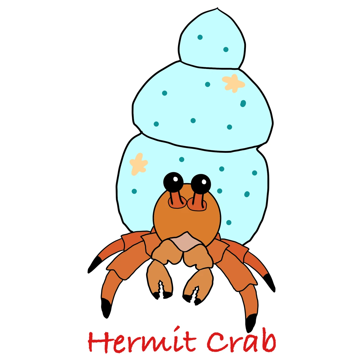 Hermit Crab (HV) | Masked Toon Singer Wiki | Fandom