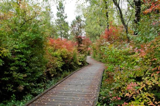 Halcyon City Nature Park | Masks West Marches Wiki | Fandom