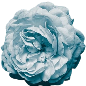 2003 Chicago warehouse shooting | Mass Attacks Wiki | Fandom