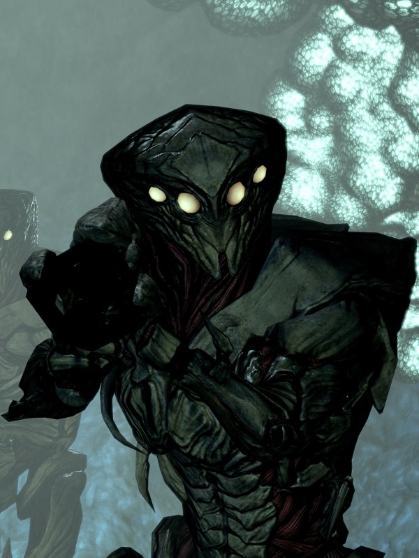 Collectors Mass Effect Continuation Wiki Fandom