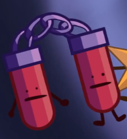 Nunchucks Object Awesomeness Wiki Fandom