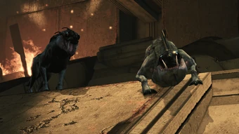 Feros: Varren Meat | Mass Effect Wiki | Fandom