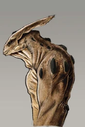 Bonus Content Disc/Creatures: Krogan | Mass Effect Wiki | Fandom