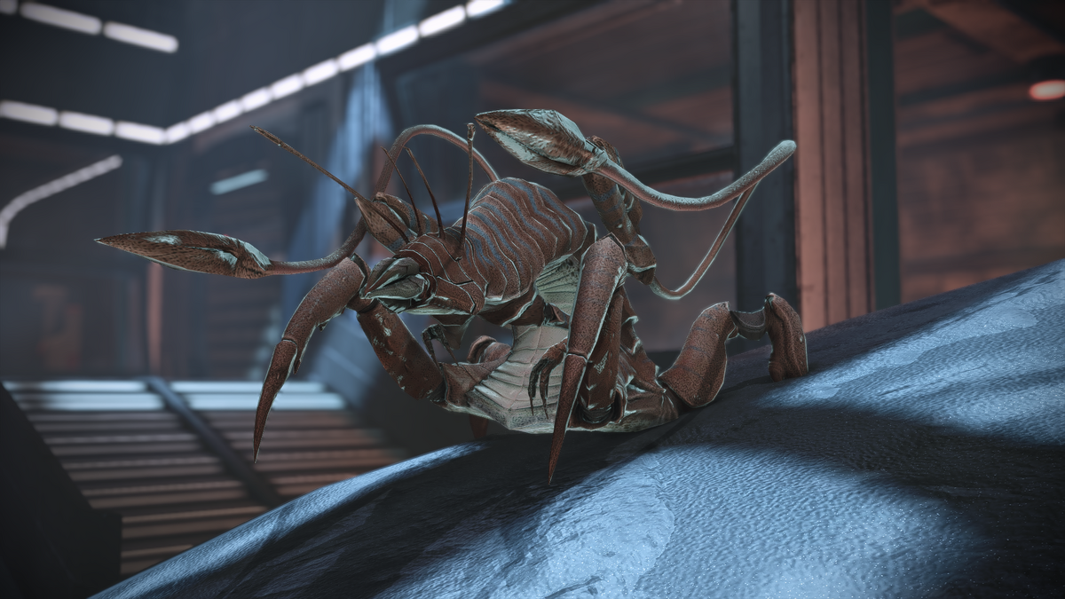 Рахни солдат Mass Effect Wiki Fandom