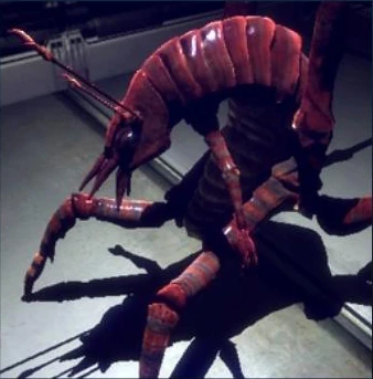 Rachni | Mass Effect Wiki | Fandom