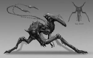 Bonus Content Disc/Creatures: Rachni | Mass Effect Wiki | Fandom