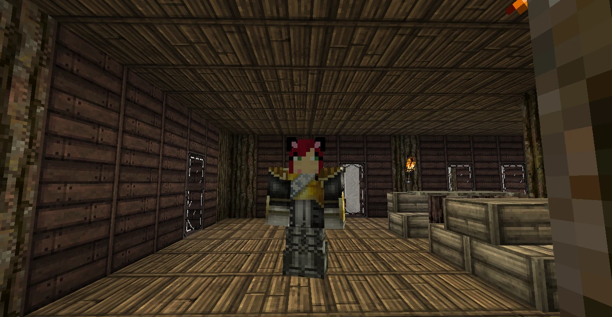 Niko the neko | Massivecraft Wiki | Fandom