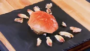 Matt Houck | MasterChef Wiki | Fandom