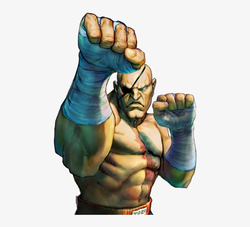 Sagat (Street Fighter IV) | MasterHoshiStats Wiki | Fandom