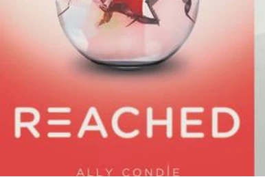 Matched Crossed Reached