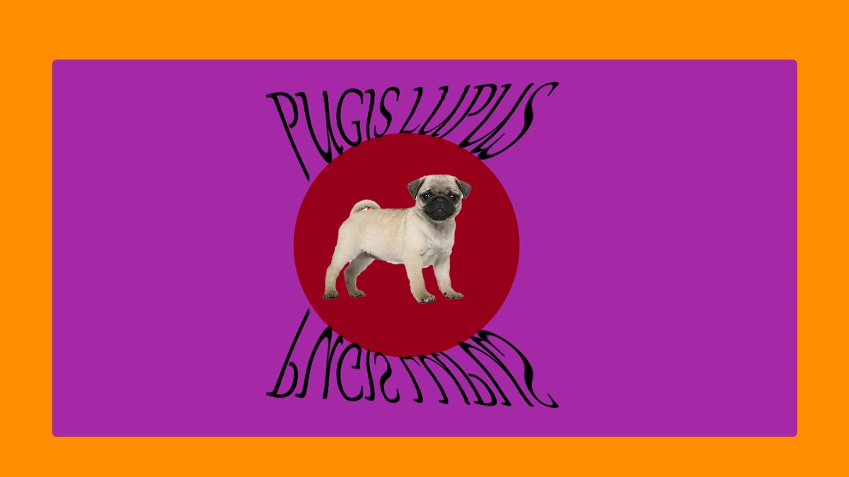 Pugio Dynasty | Maternia Wiki | Fandom