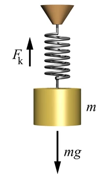 Mass-Spring Oscillator | Math & Physics Problems Wikia | Fandom