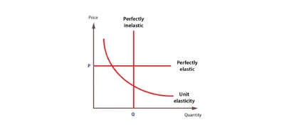 Elasticity of Demand | Math & Physics Problems Wikia | Fandom