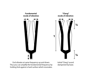 Tuning Fork Vibration | Math & Physics Problems Wikia | Fandom