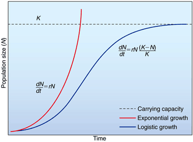 Logistic Growth | Math & Physics Problems Wikia | Fandom