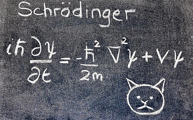 Schrodinger Equation Cat