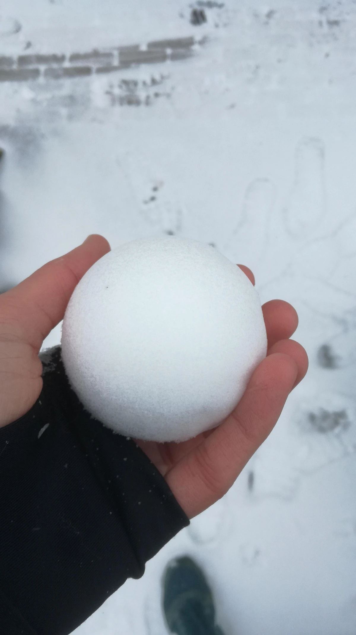 Water Molecules in a Snowball | Math & Physics Problems Wikia | Fandom