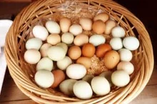 Eggs in a Basket | Math & Physics Problems Wikia | Fandom