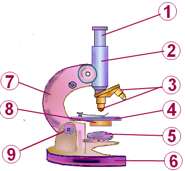 Microscop | Math Wiki | Fandom