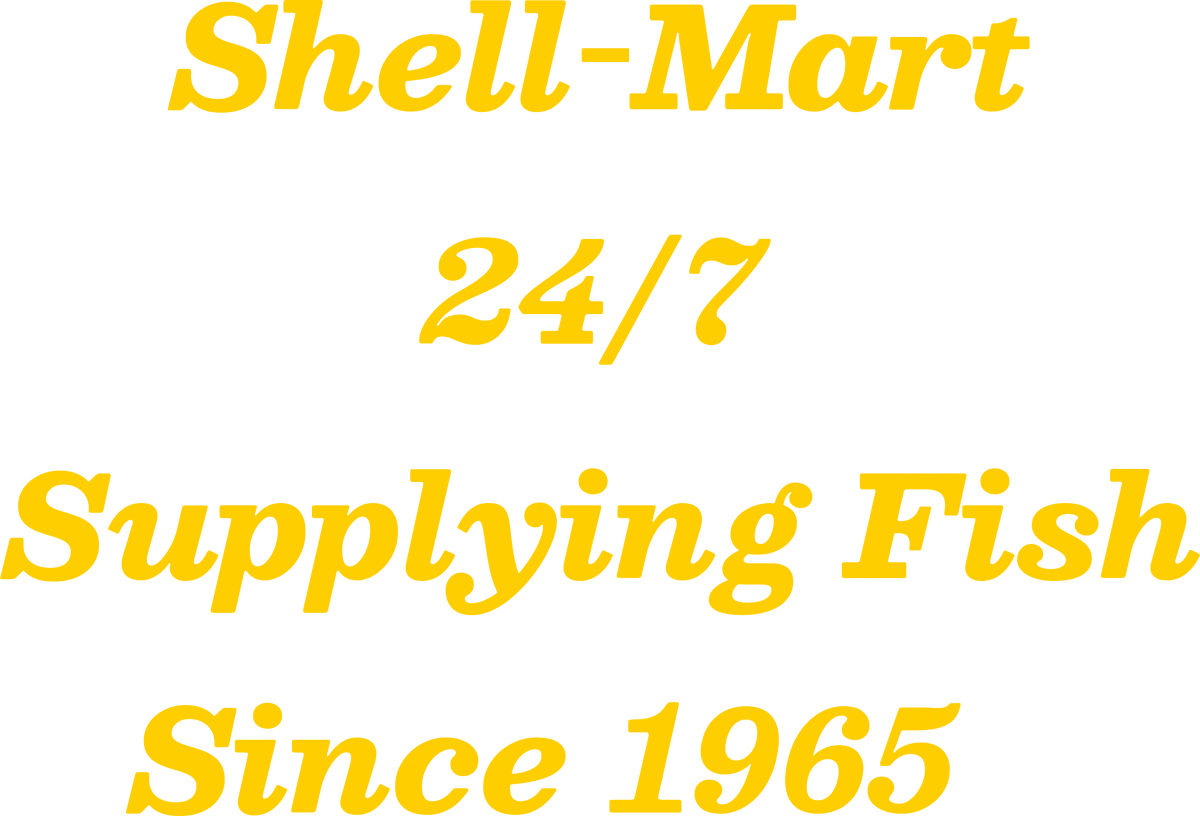 Shell Mart | Mathew hollerman encyclopedia Wiki | Fandom