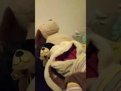 Timmy! Timmy! | Mathew hollerman encyclopedia Wiki | Fandom