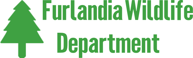 FWD | Mathew hollerman encyclopedia Wiki | Fandom