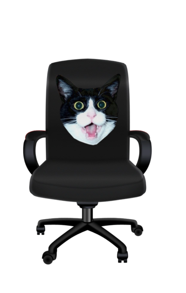 Black Chair Cat | Mathew hollerman encyclopedia Wiki | Fandom