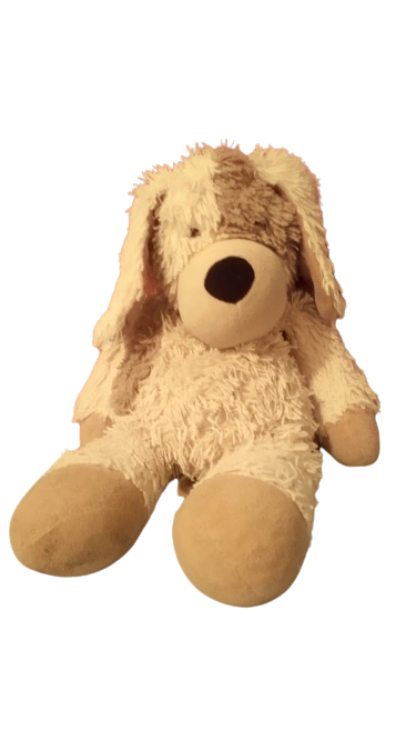 Dog | Mathew hollerman encyclopedia Wiki | Fandom