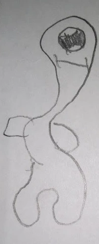 Sidpiel | Mathew hollerman encyclopedia Wiki | Fandom