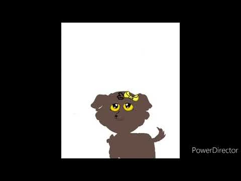 Hazel Lopez theme song | Mathew hollerman encyclopedia Wiki | Fandom