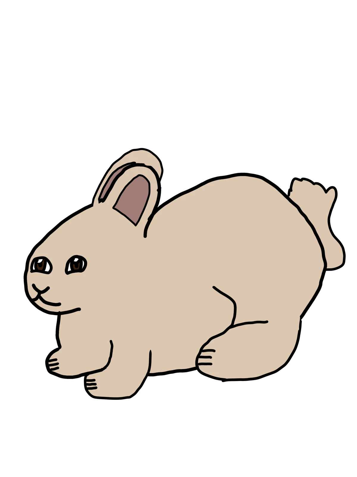 Rachel Rabbit | Mathew hollerman encyclopedia Wiki | Fandom