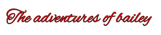 The Adventures Of Bailey Mathew Hollerman Logo Historia Wiki Fandom