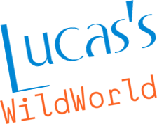 Lucas's Wild World | Mathew Hollerman logo historia Wiki | Fandom