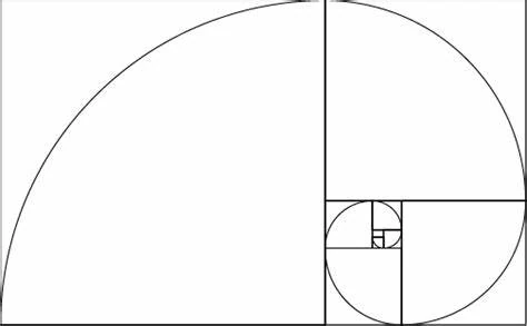 Level Math 0.618:"黄金分割" | Mathrooms Wiki | Fandom